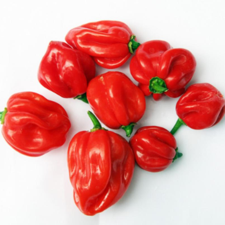 Hot Pepper (Rodo) - Truly African and Caribbean online store